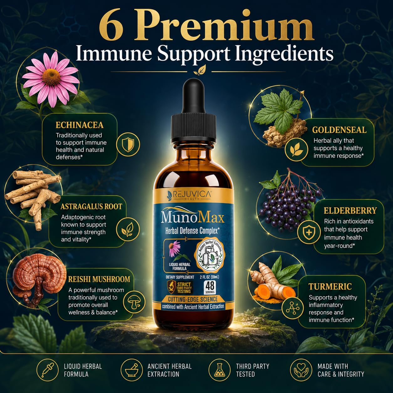 Astragalus extract for seasonal health