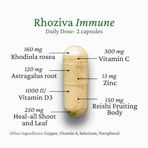Astragalus for enhanced immune function