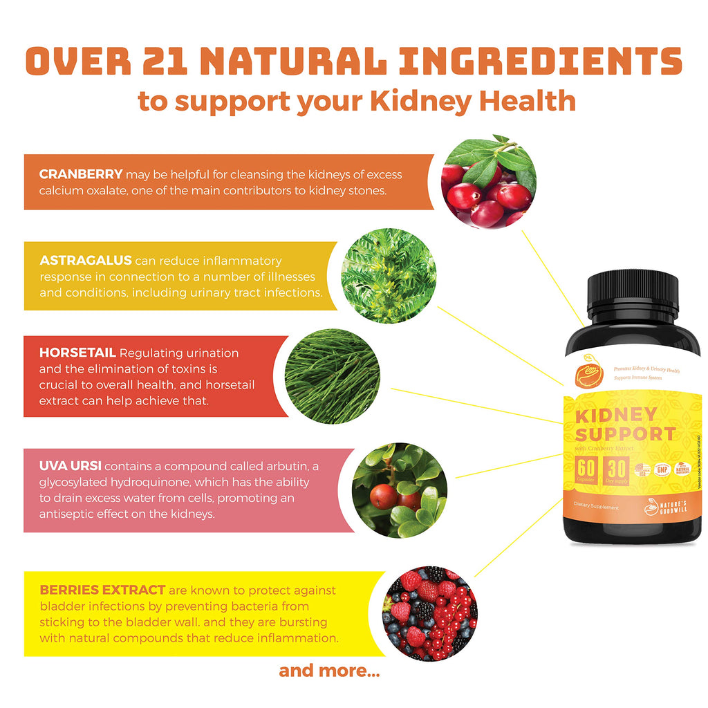 astragalus for enhanced kidney health
