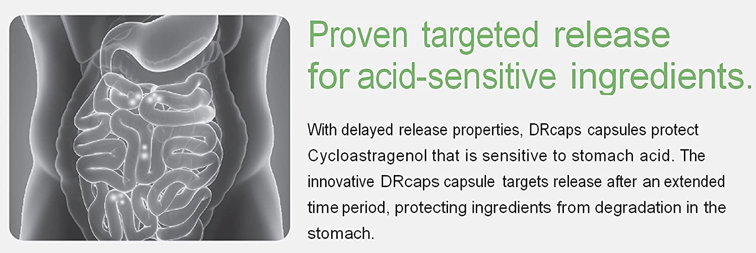Astragalus membranaceus for energy boost
