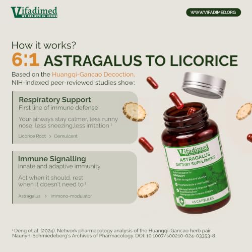 astragalus membranaceus for vitality