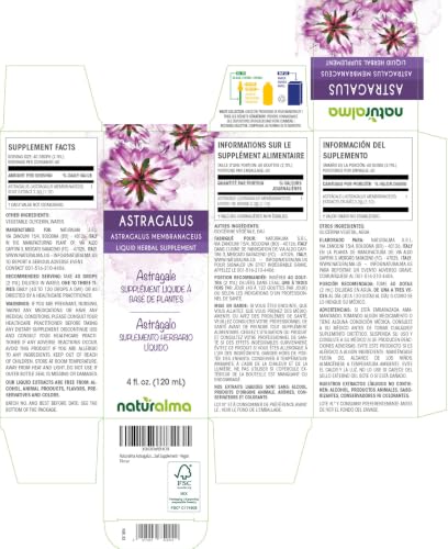 astragalus membranaceus health advantages