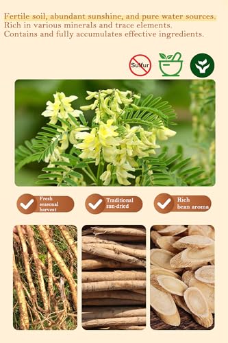 astragalus membranaceus health benefits