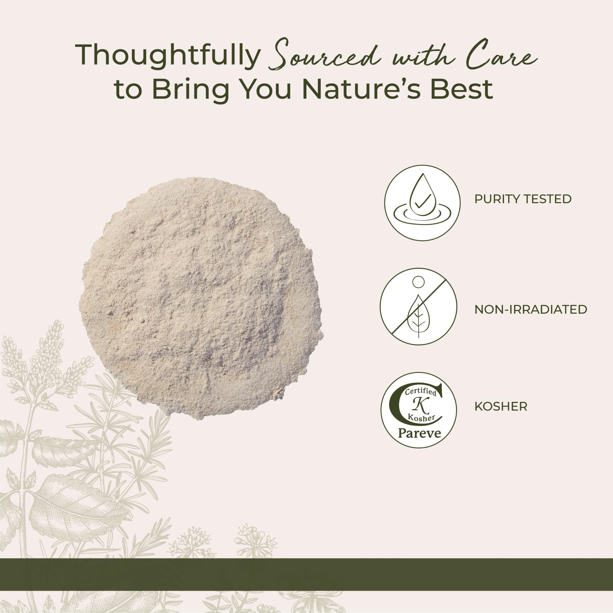 astragalus powder for daily nutrition