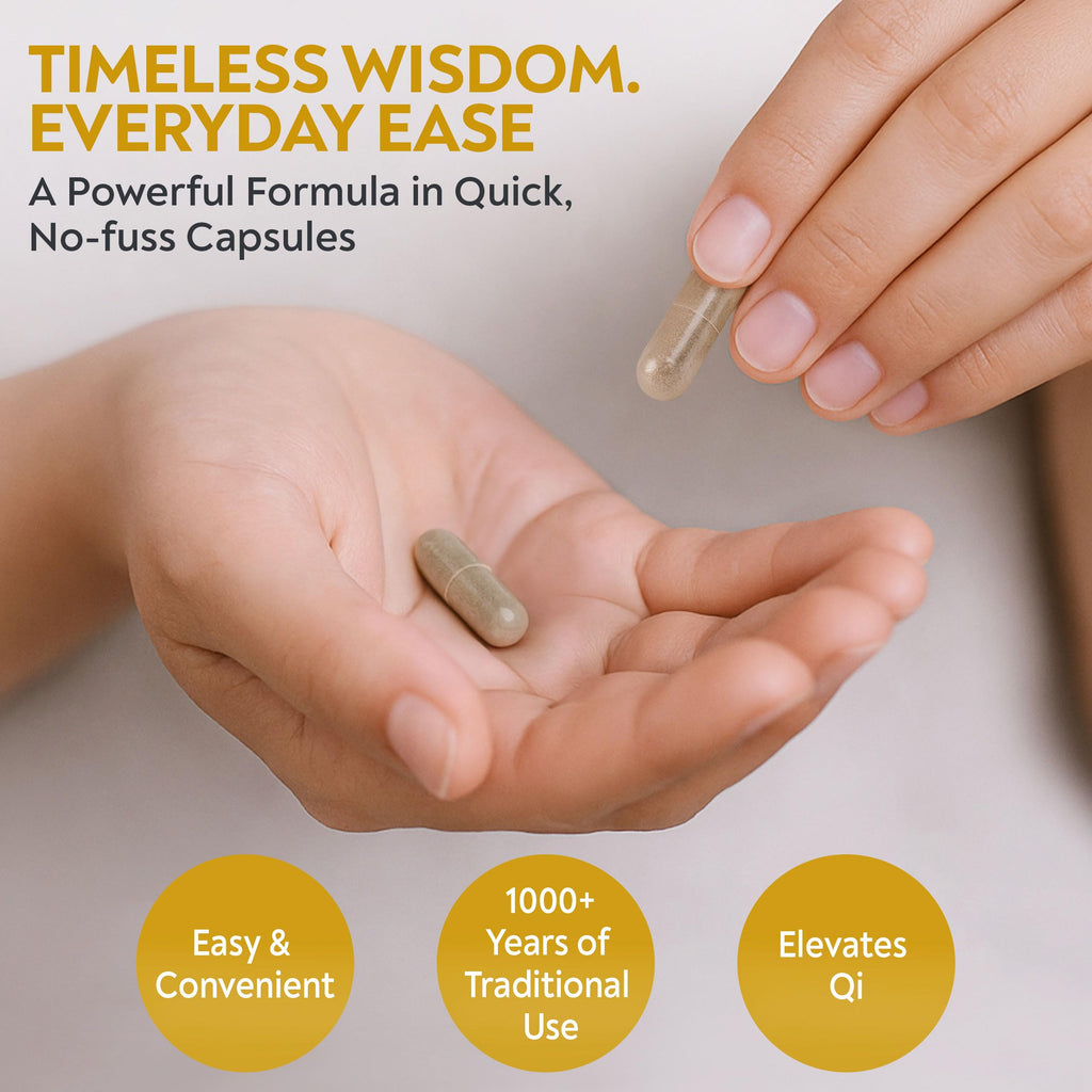 astragalus root benefits for immunity
