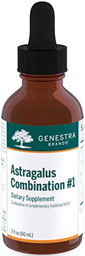Astragalus root benefits for immunity