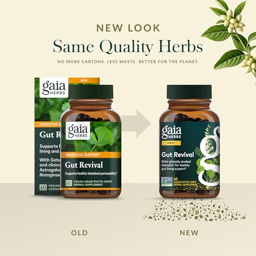astragalus root benefits for immunity