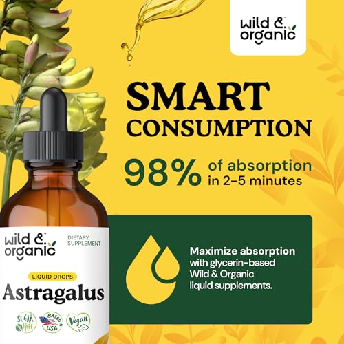 astragalus root benefits for vitality