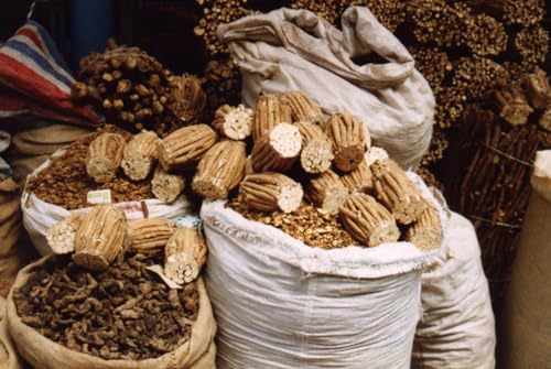 astragalus root extract advantages