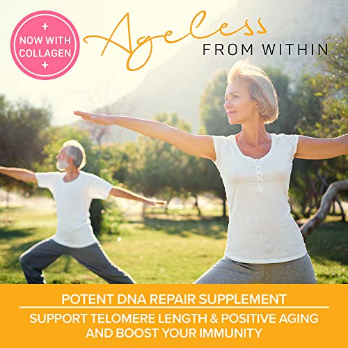 Astragalus root extract benefits for vitality