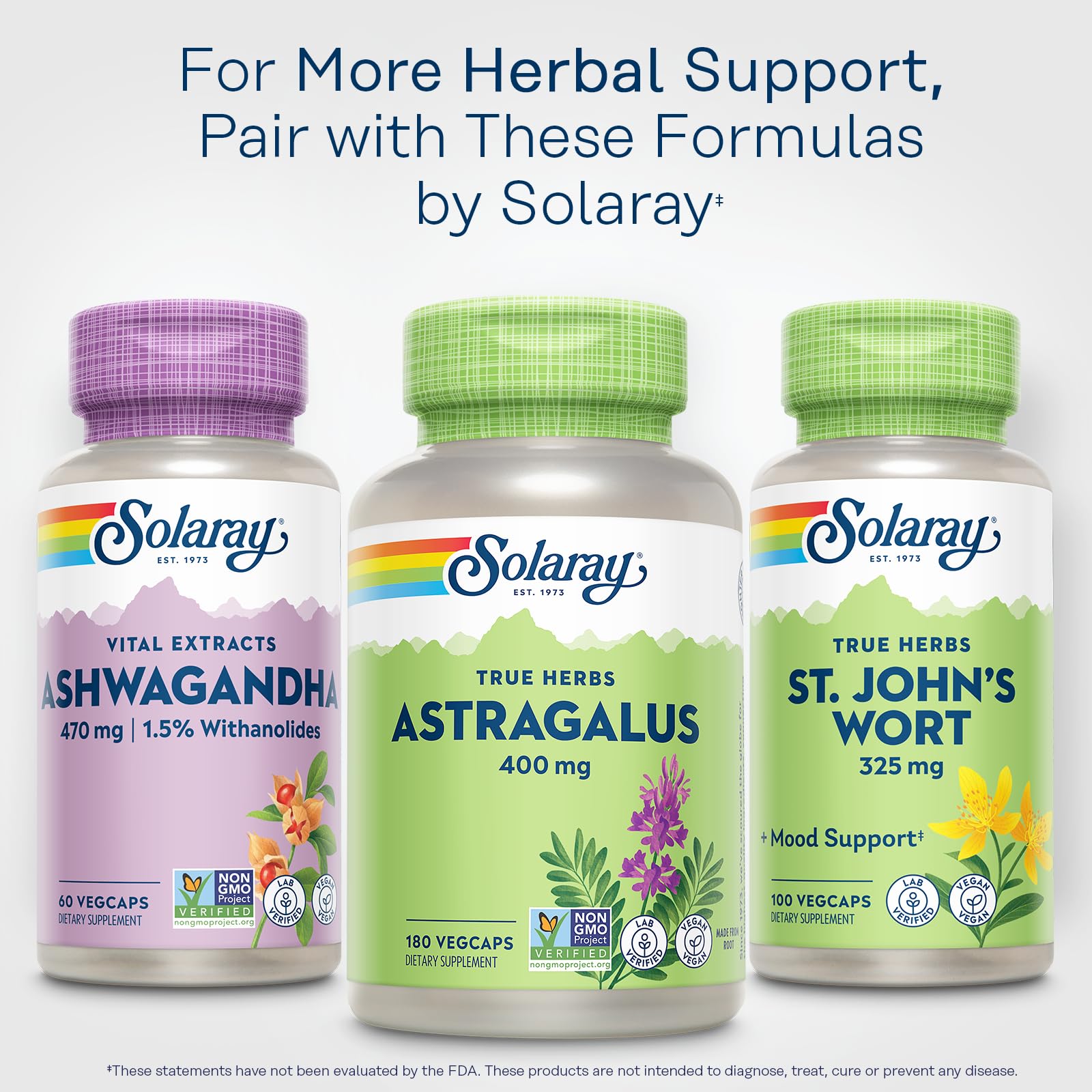 astragalus root for energy boost