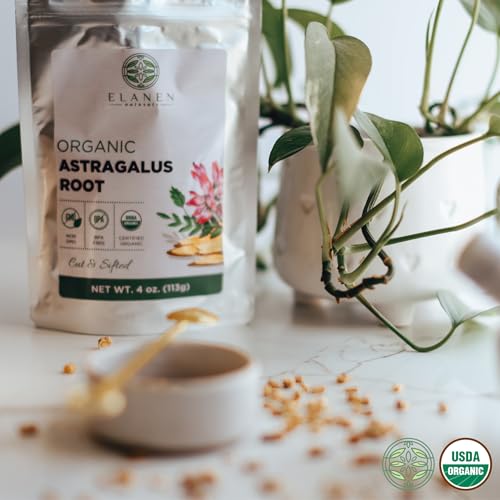 astragalus root for energy boost