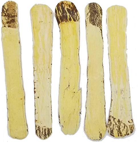 astragalus root for immune support