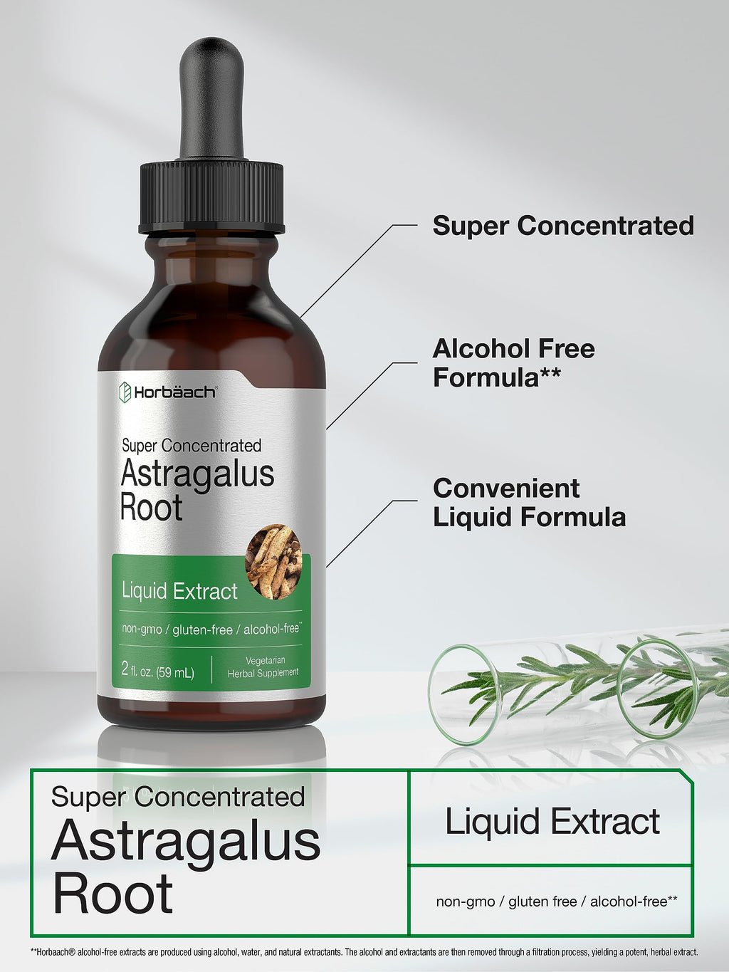 astragalus root for immune support