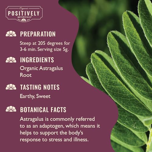 astragalus root for immune support