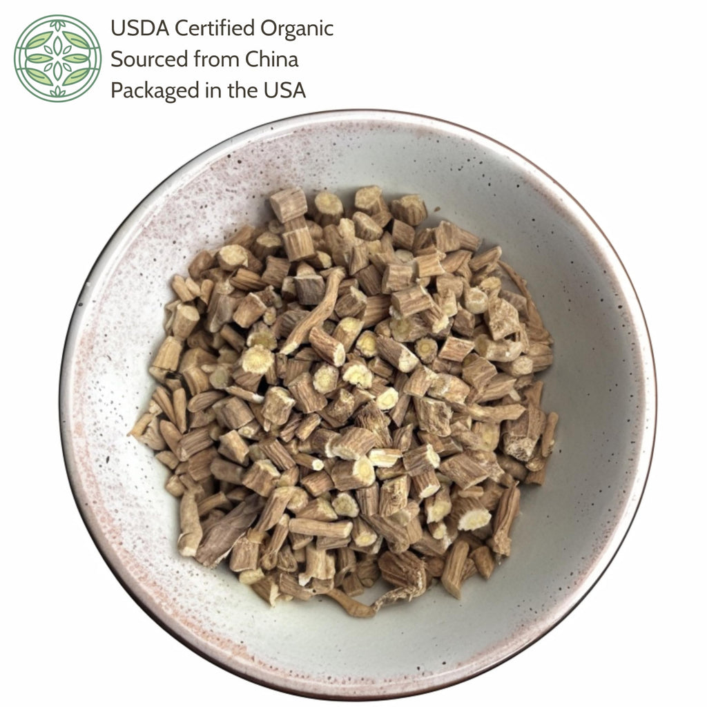 astragalus root for immune support
