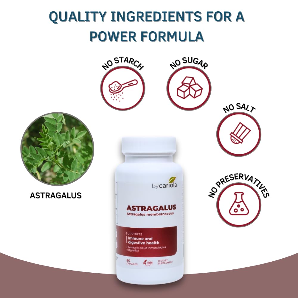 astragalus root for improved digestion