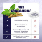 astragalus root for stress relief