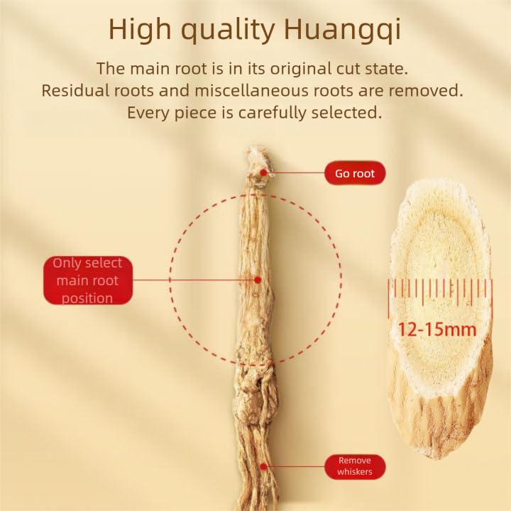 astragalus root health benefits