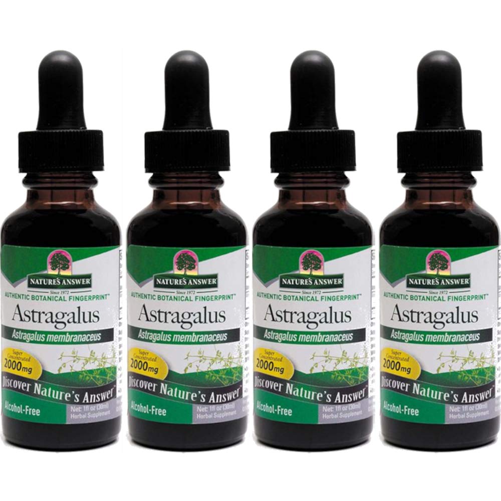 astragalus root immune support supplement