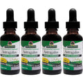 astragalus root immune support supplement