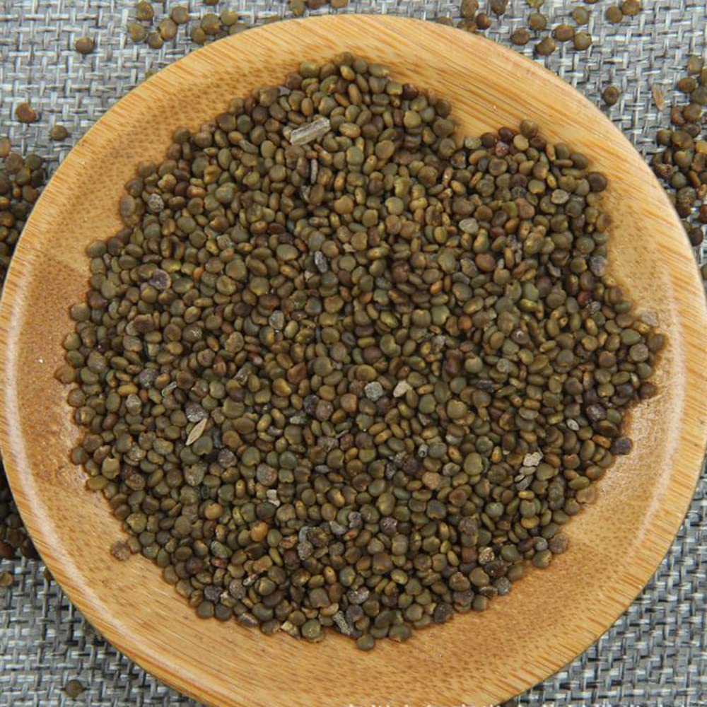 astragalus root in TCM