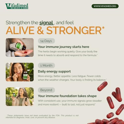 astragalus root in traditional Chinese medicine