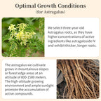 astragalus root slices for wellness