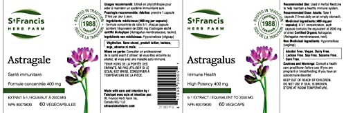astragalus supplement for daily wellness
