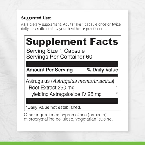 astragalus supplement for daily wellness