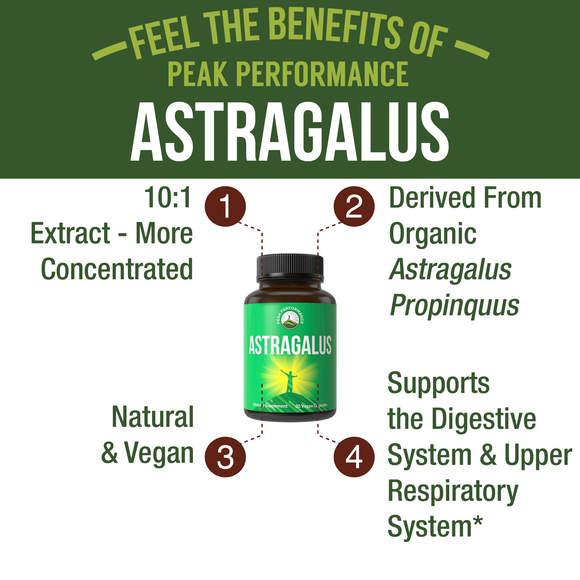 astragalus supplement for energy boost
