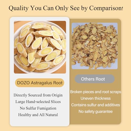 astragalus supplement for overall wellness