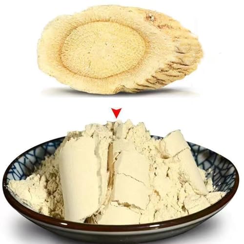 astragalus supplement for wellness