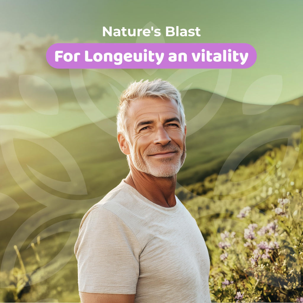 Astragalus tea for immune support