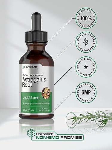 astragalus tincture for energy boost
