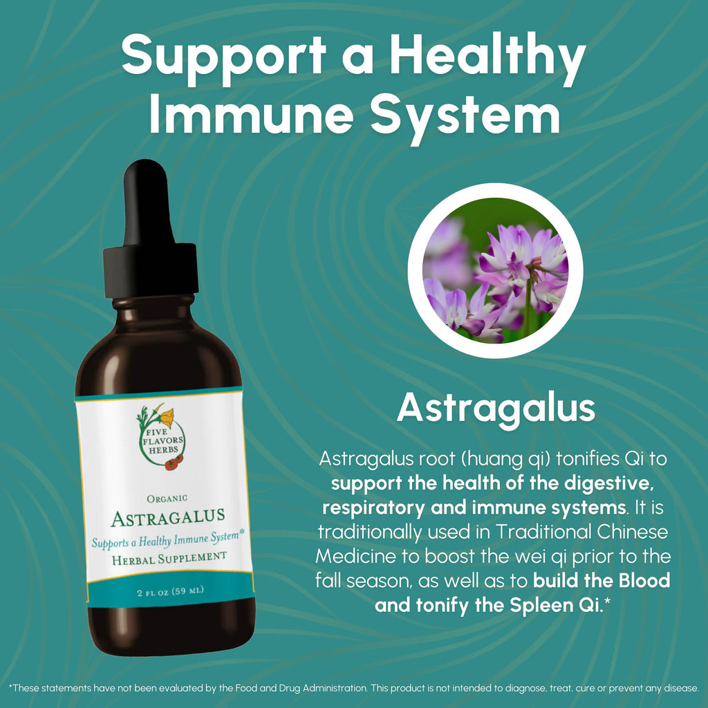 astragalus tincture for respiratory health