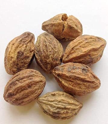 ATS Badi Harad whole for wellness