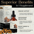 Auri Nutrition chaga for stress relief