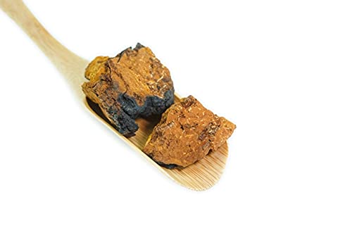 authentic Canadian chaga mushroom benefits