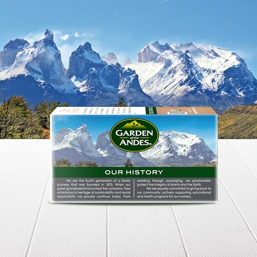 authentic chai tea for relaxation