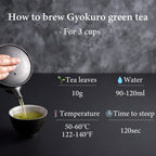 authentic Gyokuro tea experience