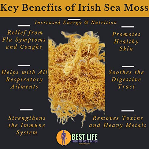 Authentic Irish Sea Moss Gel for healthy skin