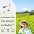 authentic Japanese green tea experience