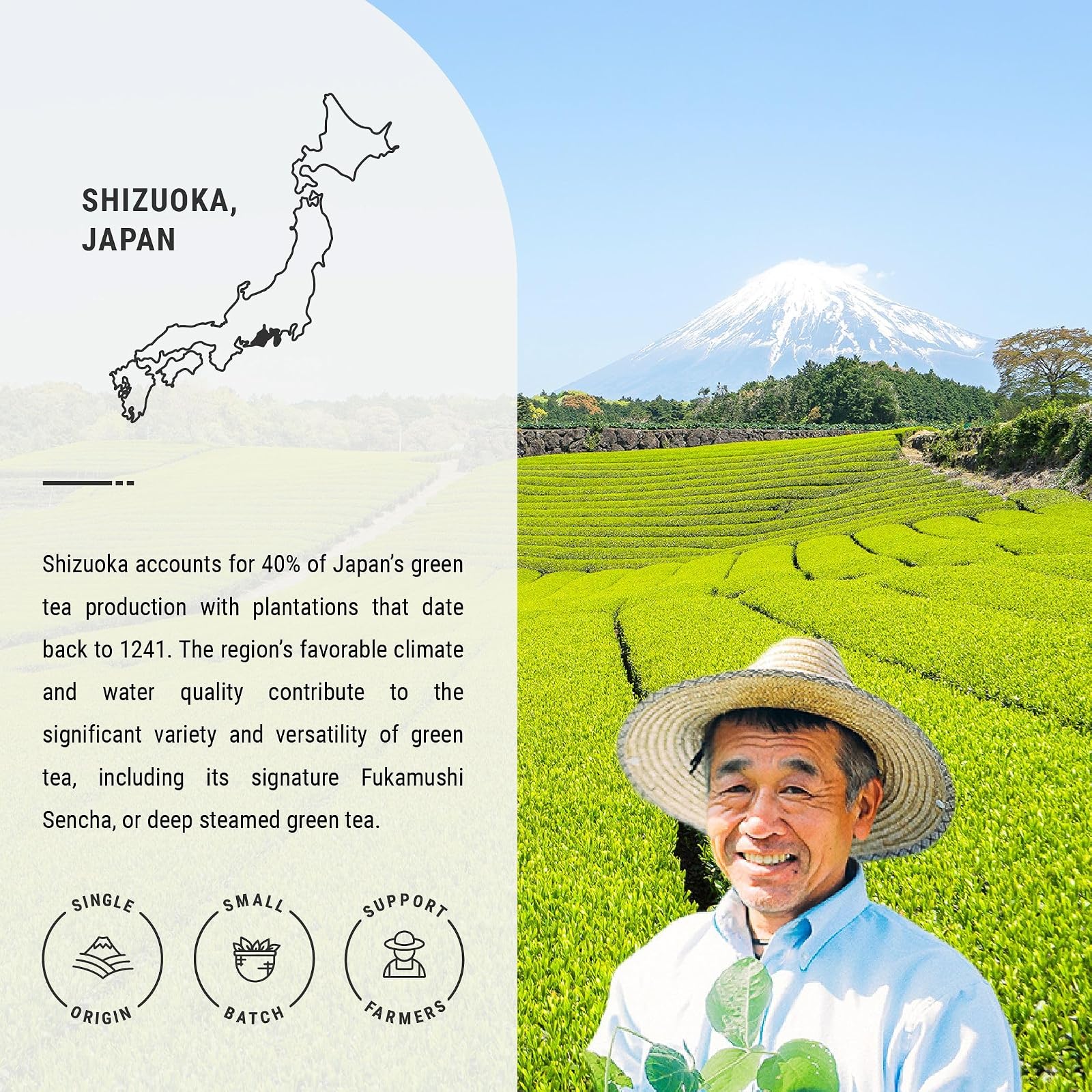 authentic Japanese green tea experience