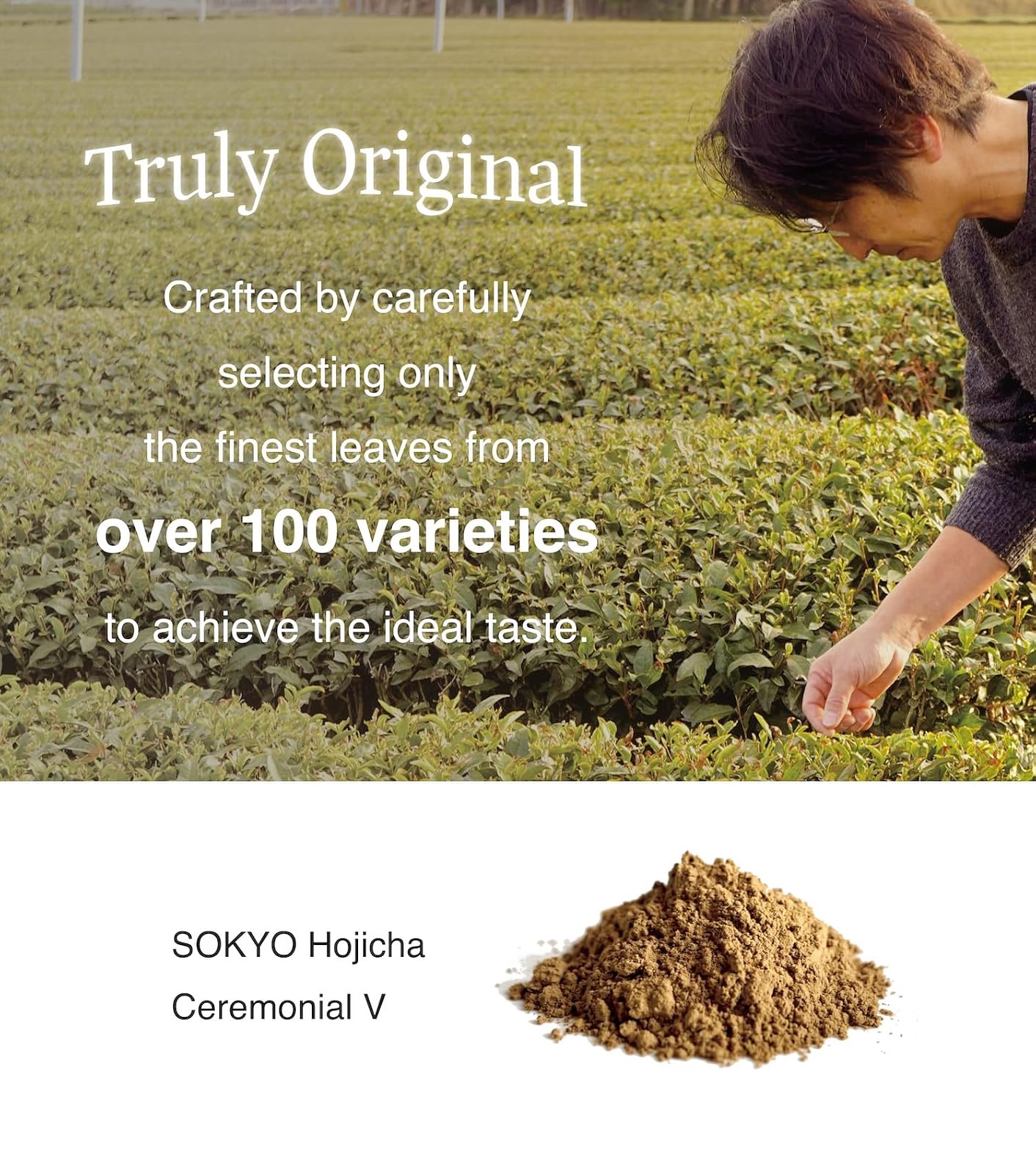 authentic Japanese hojicha experience