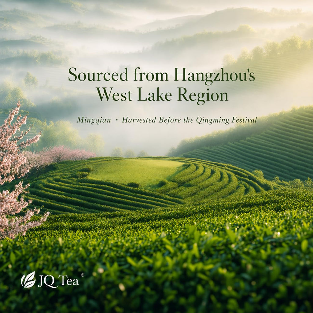 authentic Longjing green tea