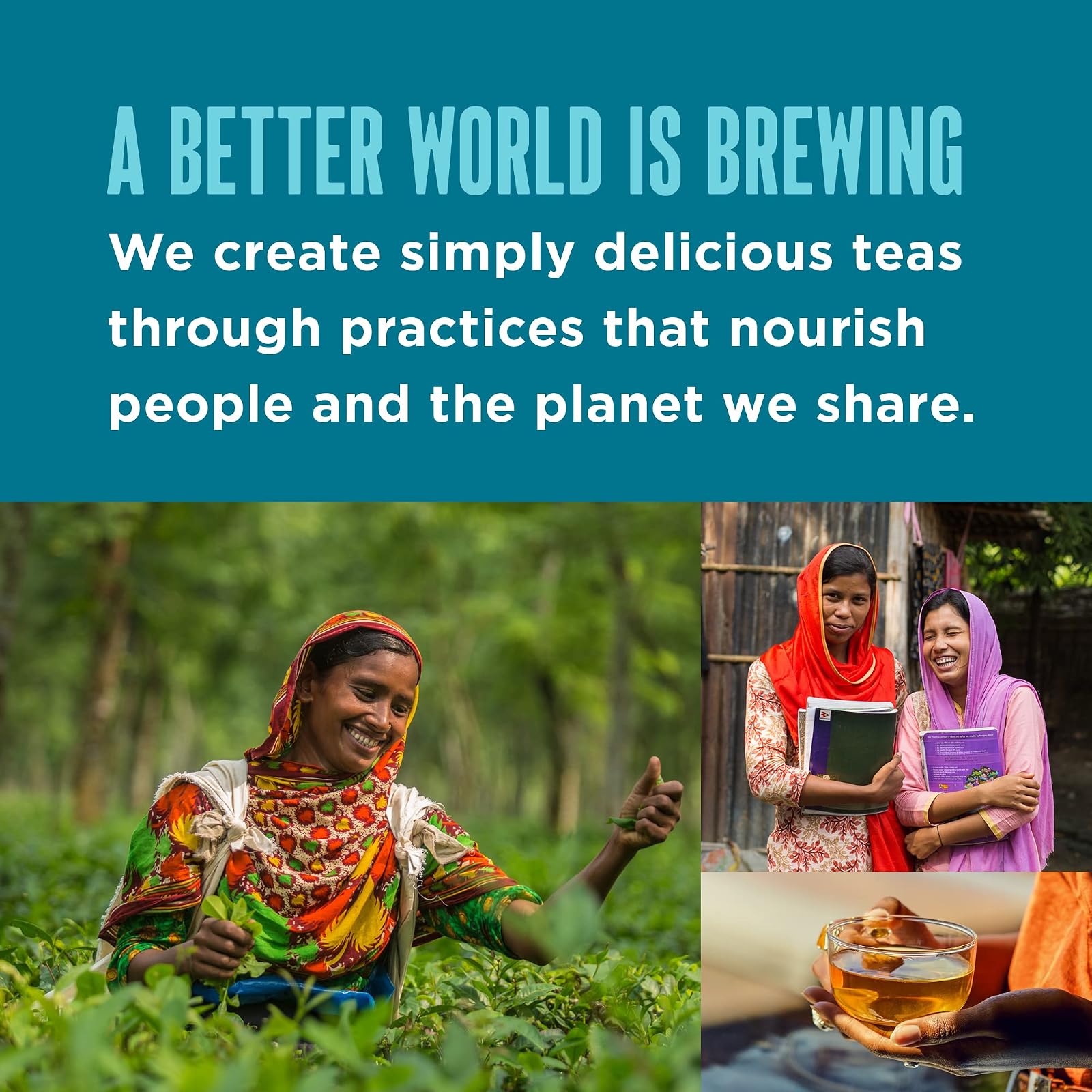 authentic masala chai for tea lovers