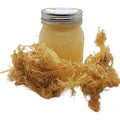 Authentic Wildcrafted Irish Sea Moss Gel benefits