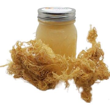 Authentic Wildcrafted Irish Sea Moss Gel benefits