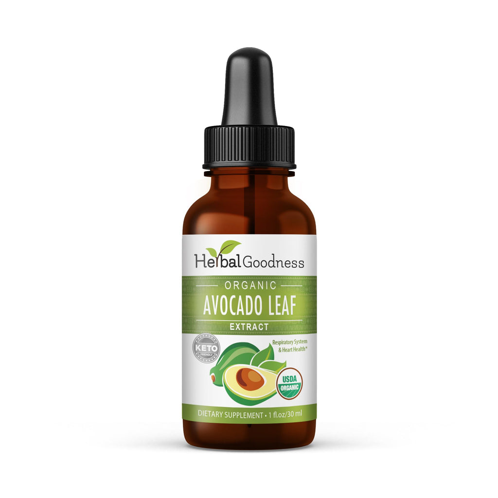avocado leaf extract benefits